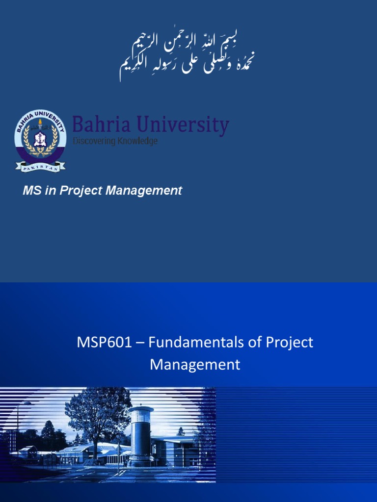 Portfolio Prog Project Life Cycle | PDF | Project Management | Agile ...