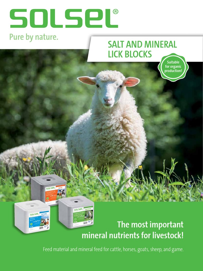 Animal Nutrition SOLSEL - Eng | PDF | Magnesium | Salt