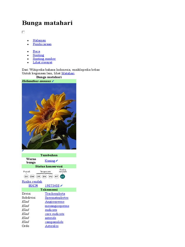 Bunga Matahari | PDF