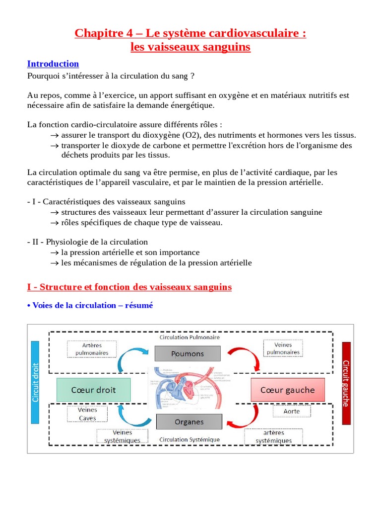 Caractéristiques des vaisseaux sanguins | PDF | Vaisseau sanguin | Sang