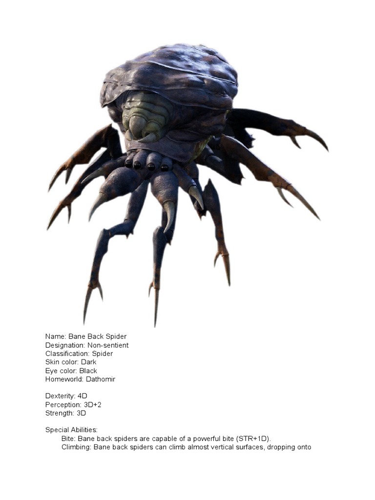 Bane Back Spider | PDF