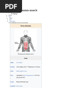 Mini Tightrope CMC Fixation | PDF | Thumb | Musculoskeletal System
