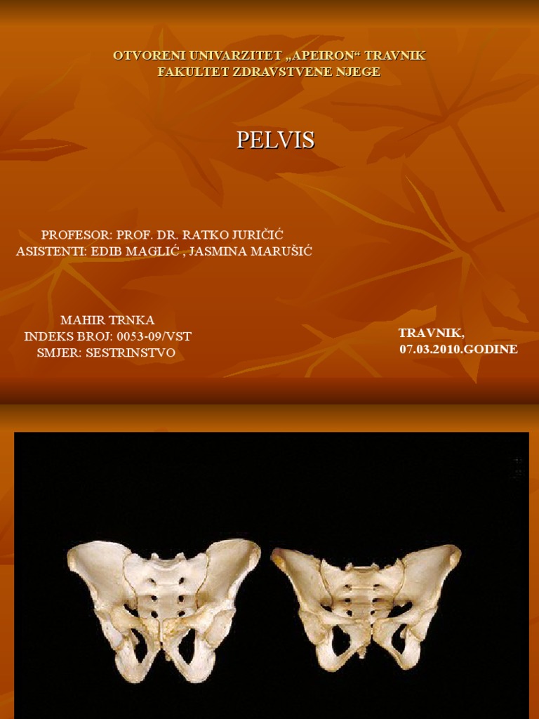 Prezentacija Pelvis Pdf