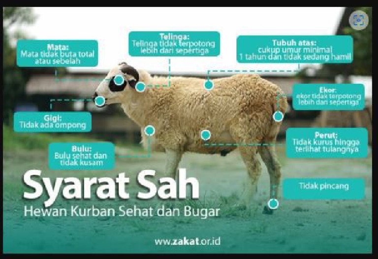 Syarat Sah Kurban | PDF