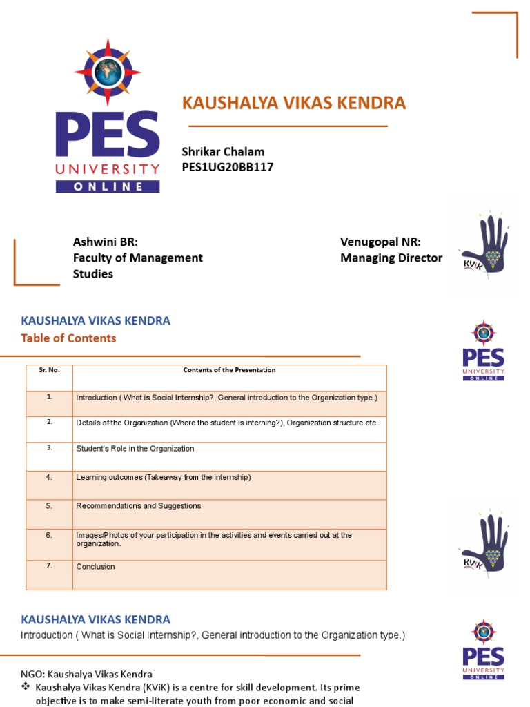 Kaushalya Vikas Kendra Internship Overview | PDF | Fundraising | Marketing Strategy