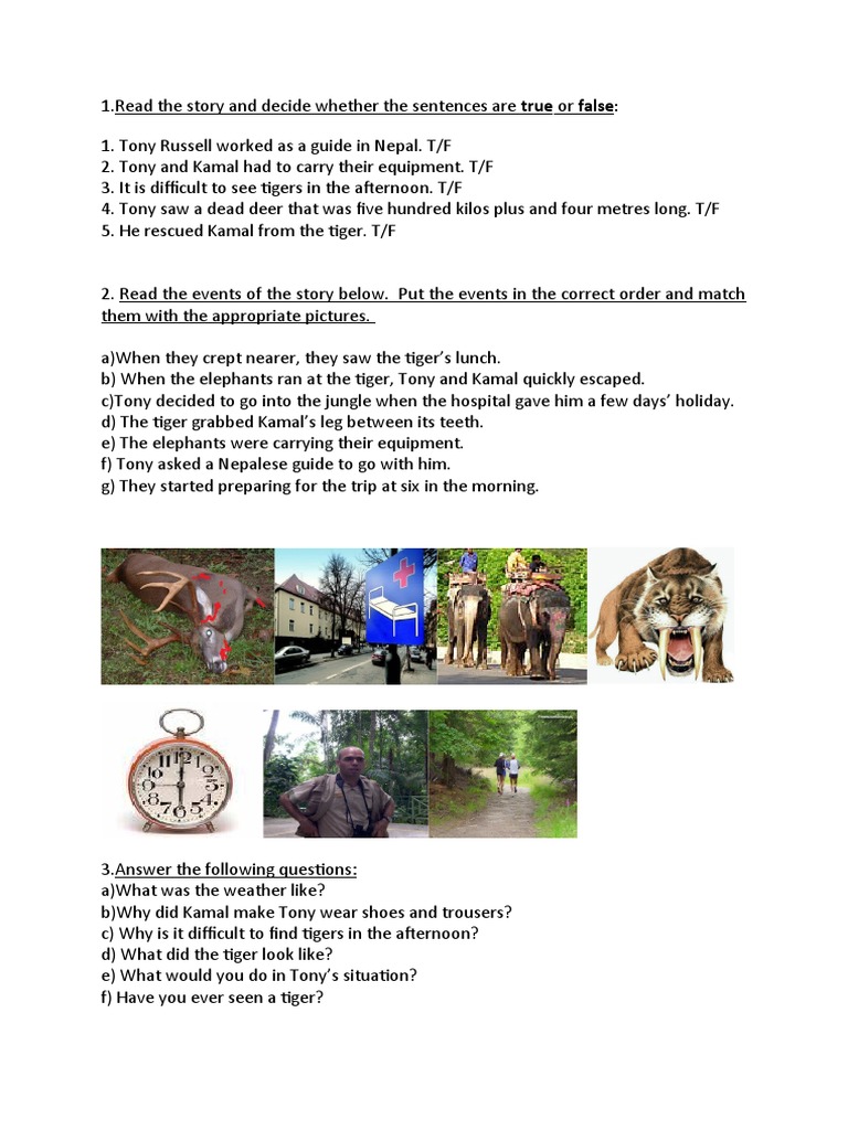 Read The Story and Decide Whether The Sentences Are True or False | PDF