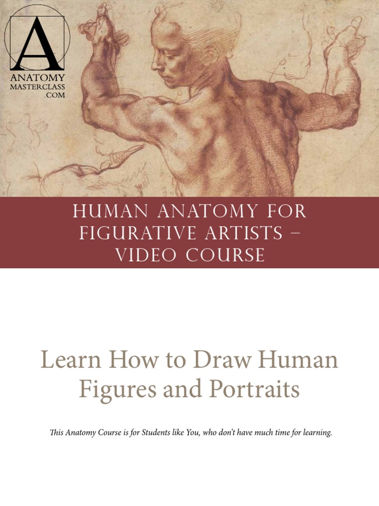 Anatomy-Master-Class About | PDF | Anatomy