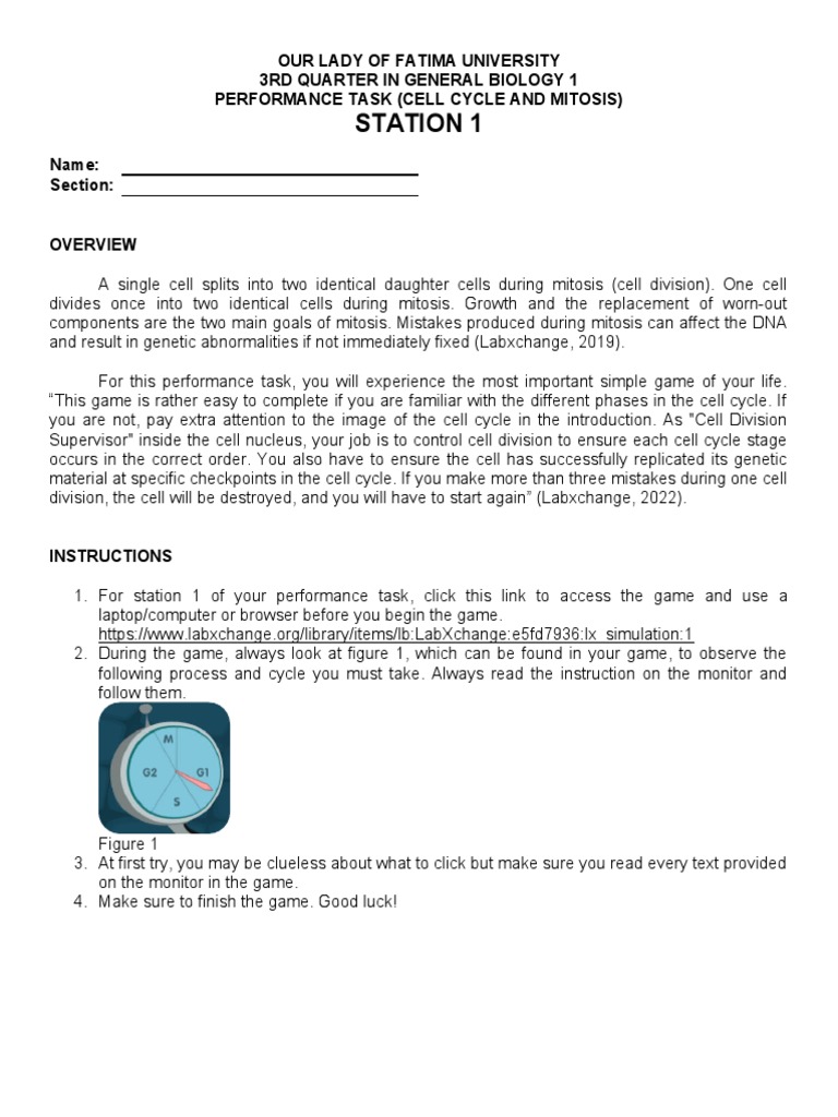Mitosis Performance Task Overview | PDF | Cell Cycle | Mitosis