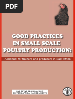 Poultry Production Lecture Notes | PDF | Poultry Farming | Chicken
