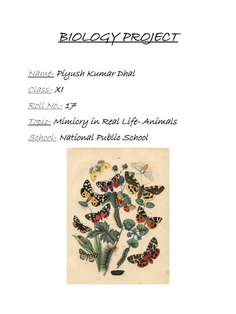 Mimicry Project Report - Piyush PDF | PDF | Mimicry | Predation