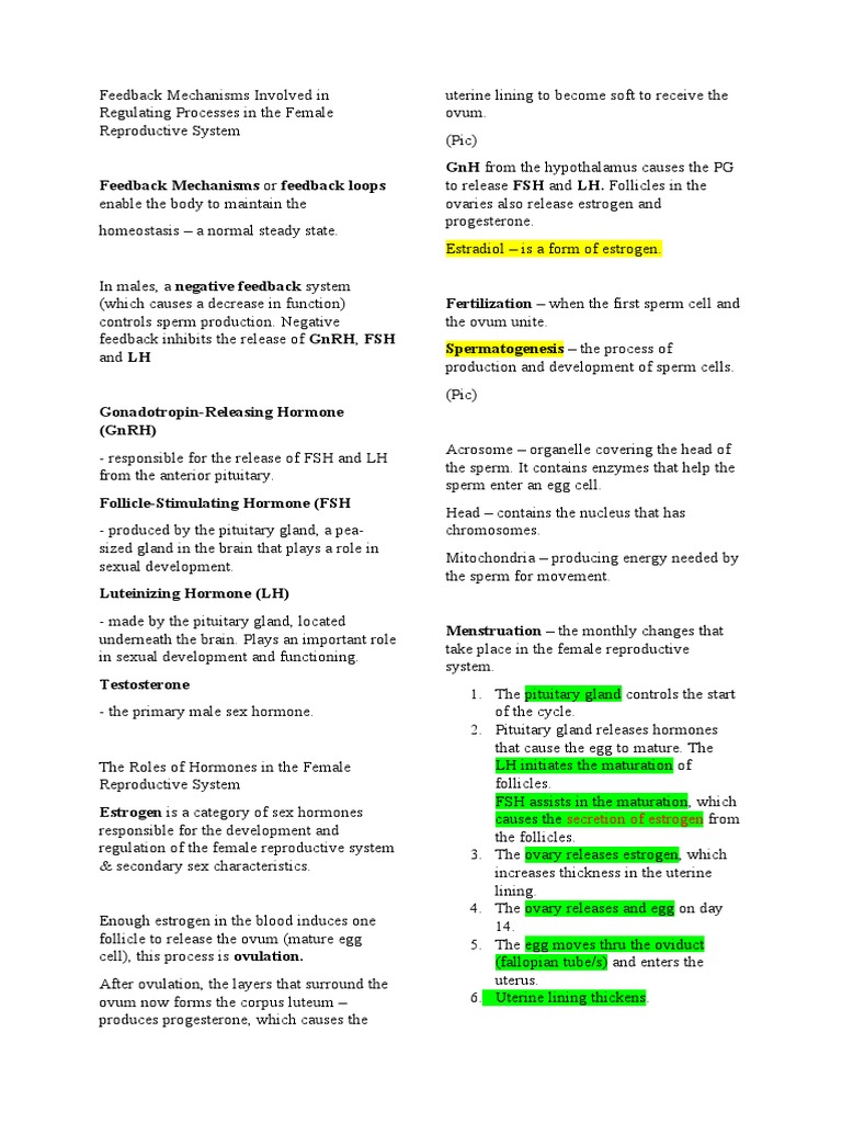 Feedback Mechanisms, Homeostasis, Nervous System | PDF | Luteinizing ...