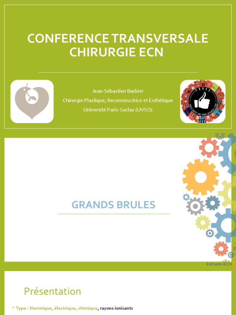 Grands Brûlés ECN | PDF | Brûlure | Maladies et troubles