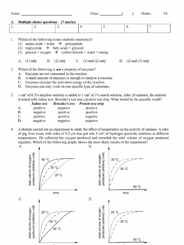 Ch.4 Quiz Set 2 - Removed | PDF