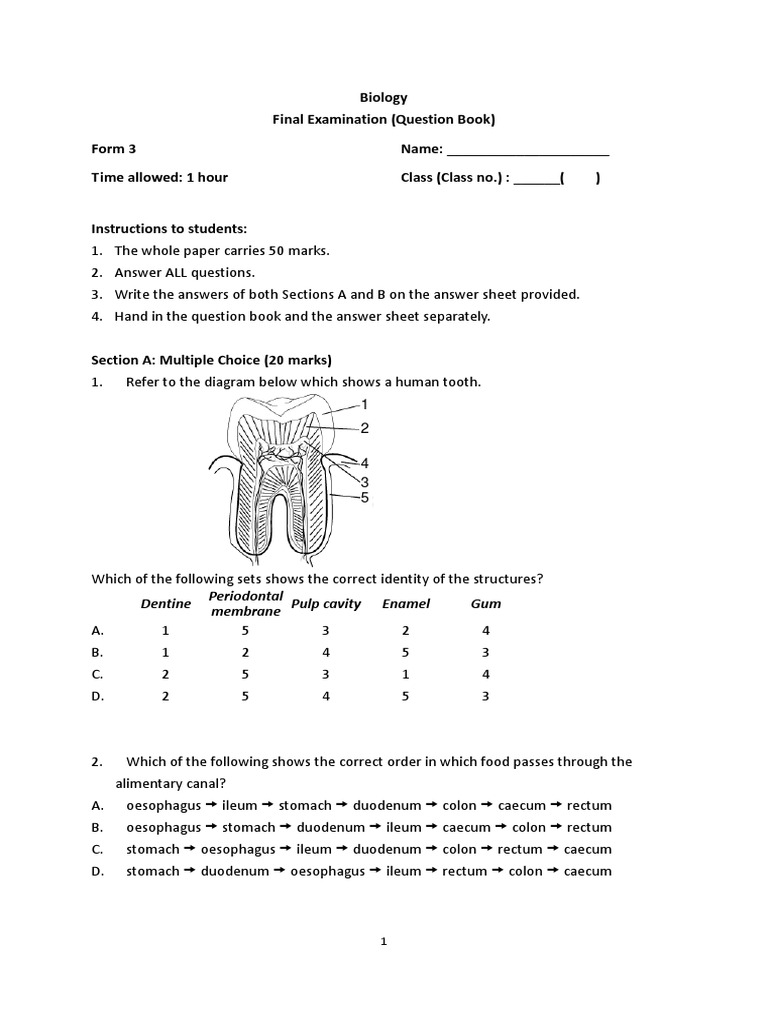 Biology Mock Exam 2012-2013 Final | PDF