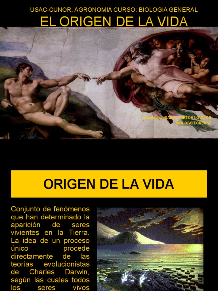 El-Origen-de-La-Vida PARA TAREA 1 PDF | PDF | Evolución | Biología Celular)