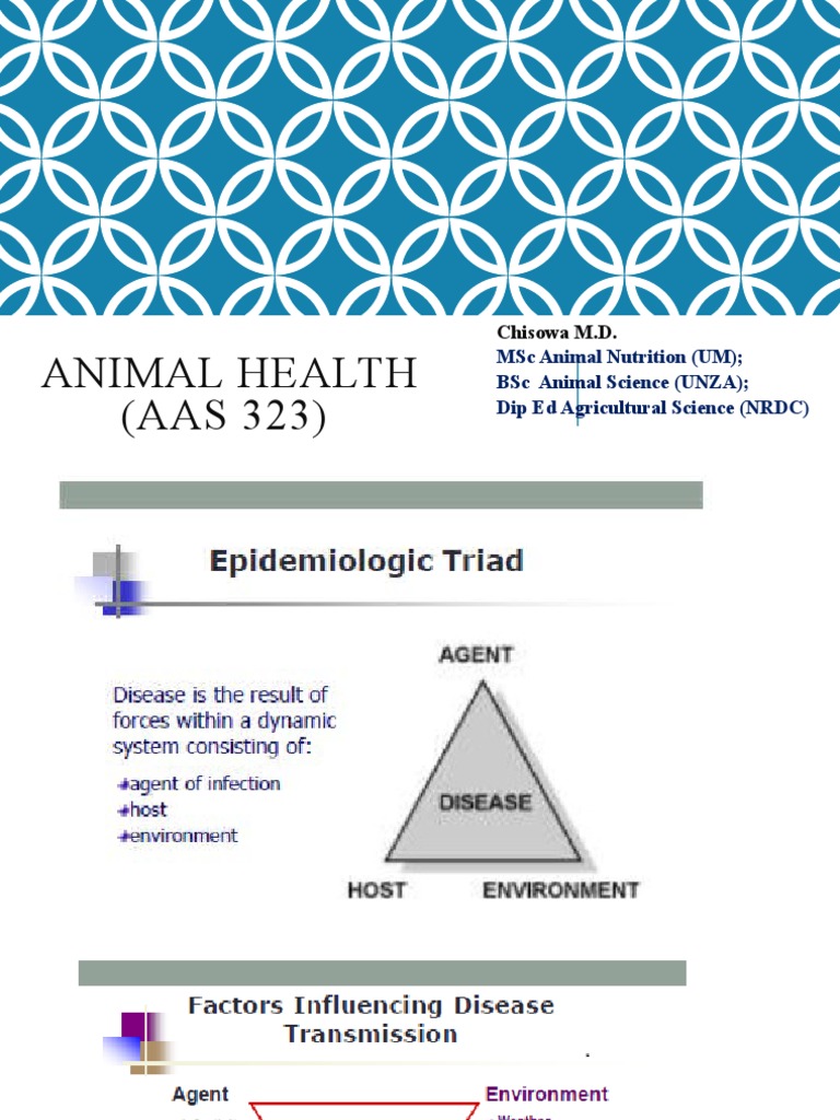 Animal Health | PDF | Immune System | Innate Immune System