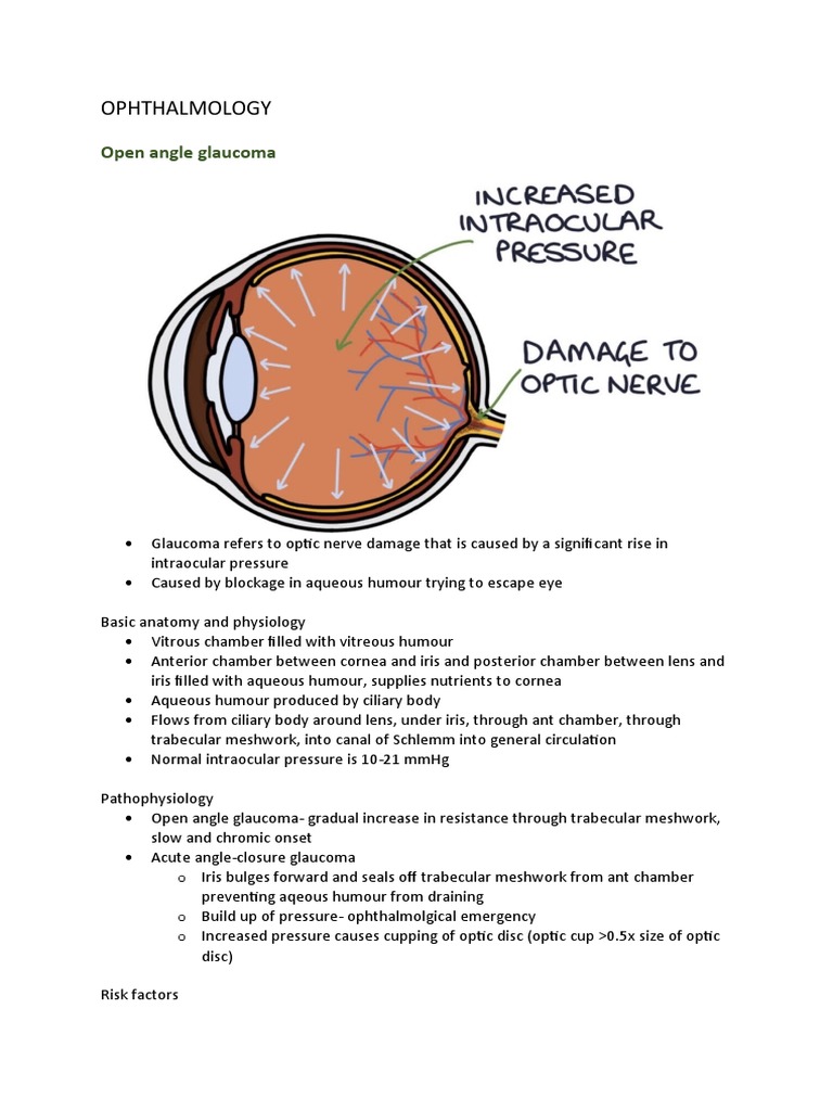 Ophthalmology | PDF | Glaucoma | Retina