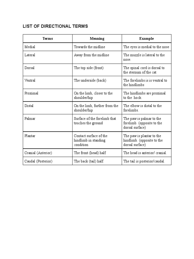 Directional Terms Anatomical Orientation And Directions | Human