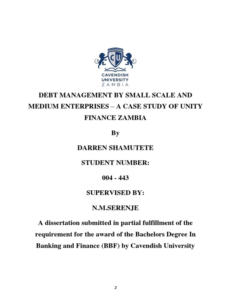 Small Business Debt Management Challenges | PDF | Capital Structure ...