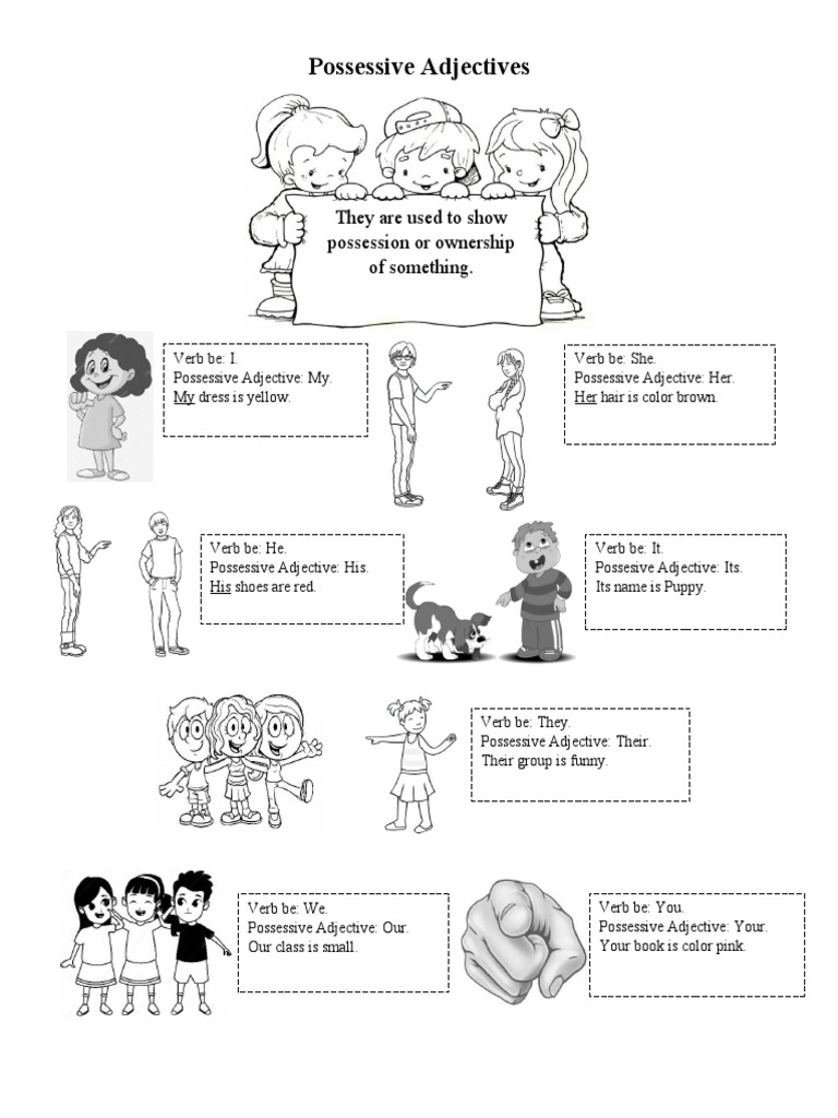 Possessive Adjectives | PDF