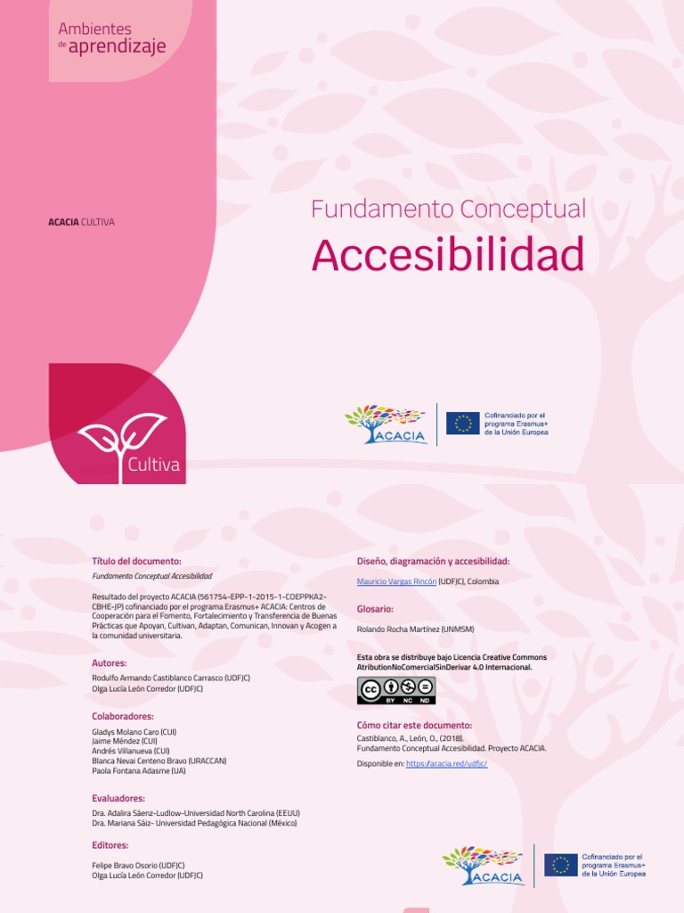 Fundamento Conceptual Accesibilidad | PDF | Invalidez | Inclusión (Educación)