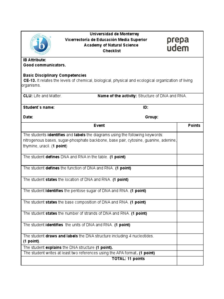 Activity 5 DNA and RNA Structures | PDF | Dna | Rna