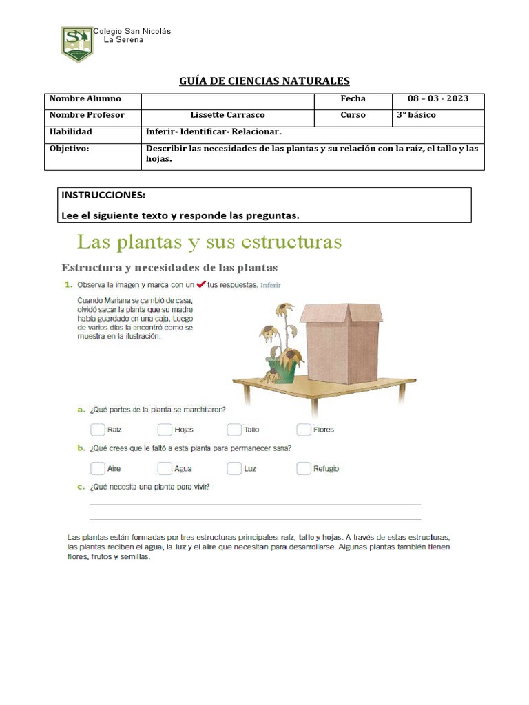 Estructuras de las Plantas para Niños | PDF