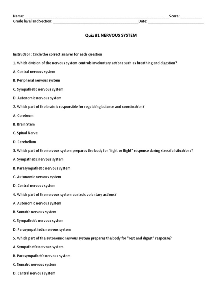 Quiz in Nervous System With Key Answer | PDF | Central Nervous System ...