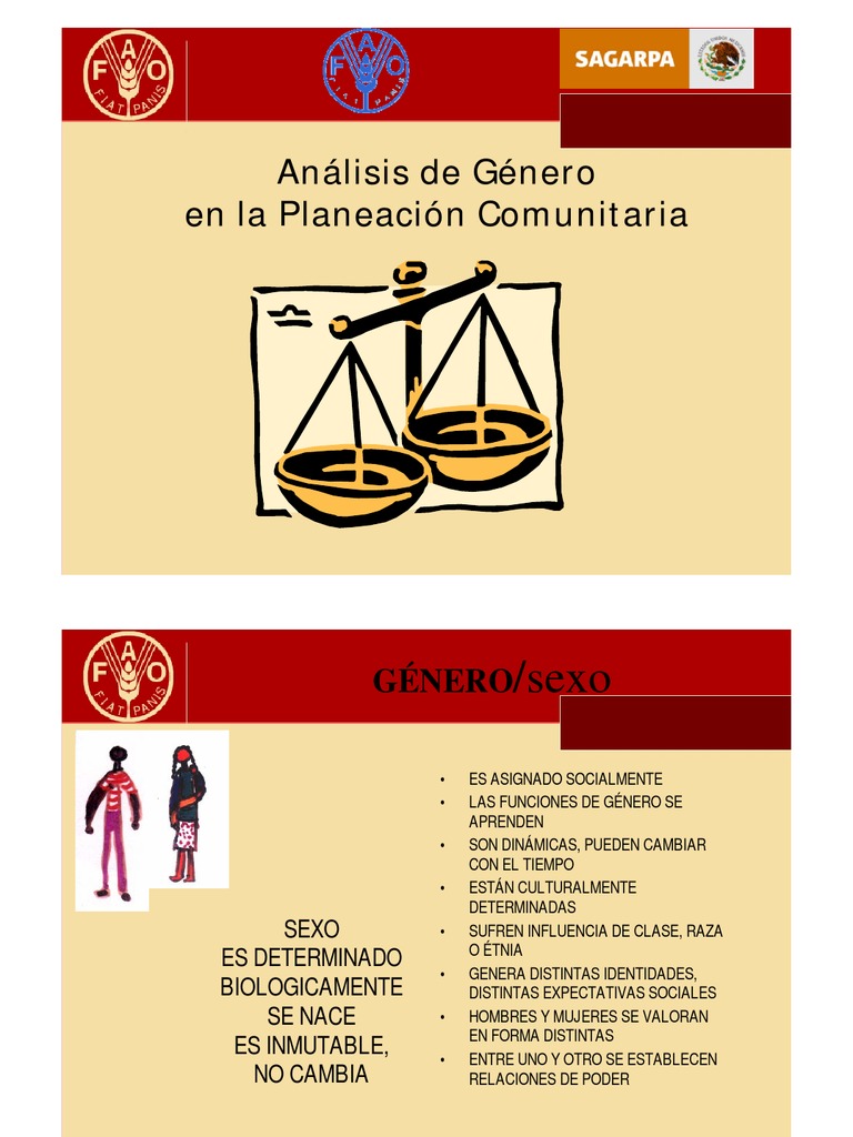 Analisis de Genero | PDF | Género | Estudios de género