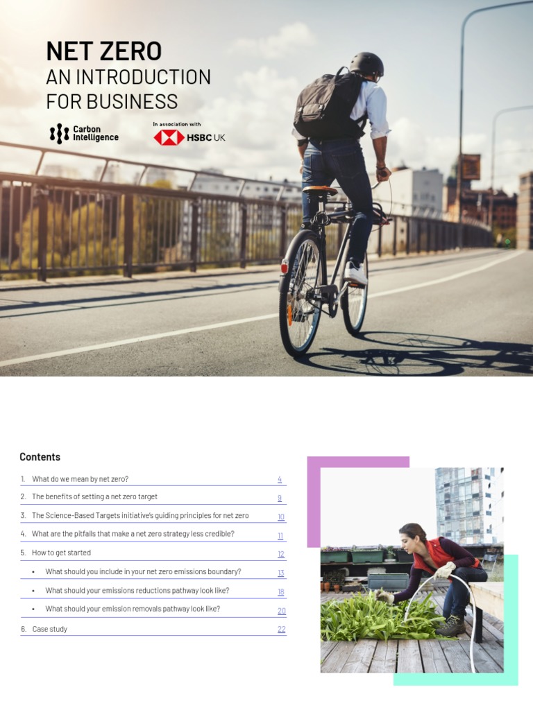 Guide To Net Zero | PDF | Carbon Offset | Climate Change