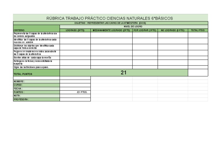 Rubrica Ciencias 6° | PDF