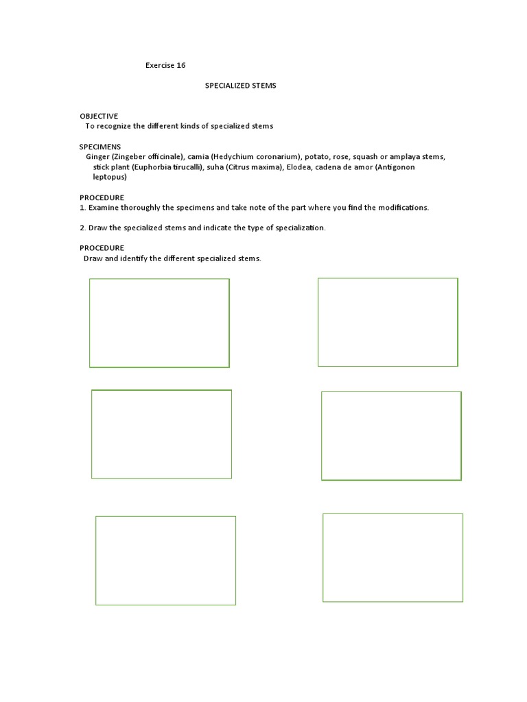 Exercise 16 Botany Lab | PDF