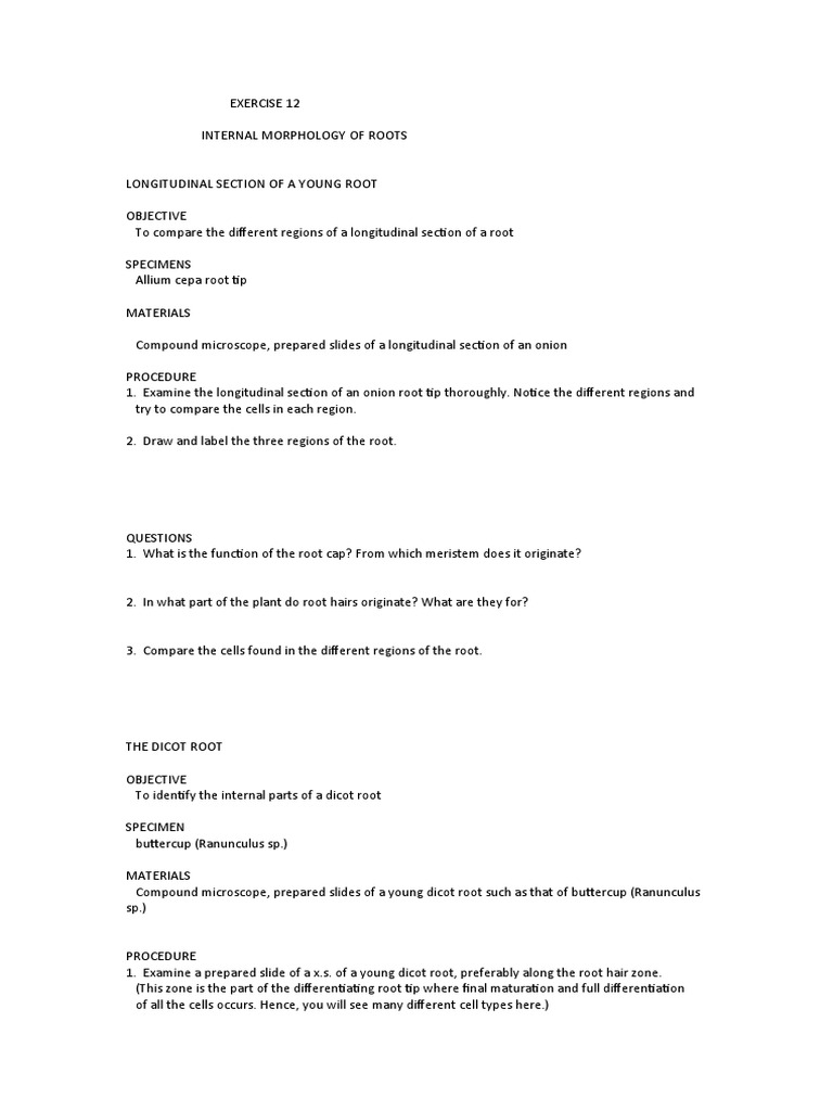 EXERCISE 12 Botany Lab | PDF | Root | Leaf