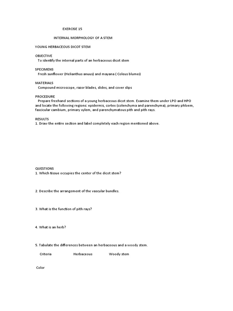 Internal Morphology of Stems | PDF | Plant Stem | Botany