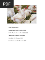 CXC Agricultural Science Sba | PDF | Broiler | Chicken