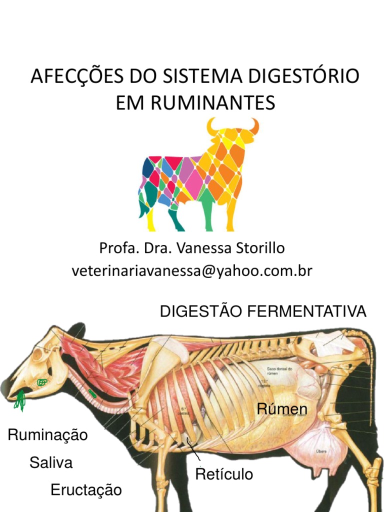 Afecções Sistema Digestorio em Ruminantes | PDF | Medicina Clínica ...