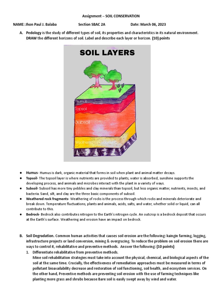 Soil Conservation Assignment Overview | PDF | Soil | Agriculture