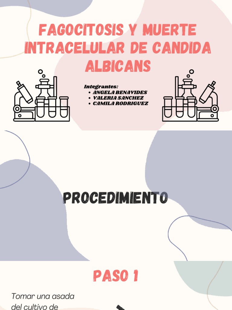 Protocolo Lab 3 | PDF