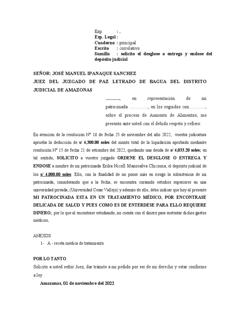 Solicito Entre de Deposito Judicial | PDF