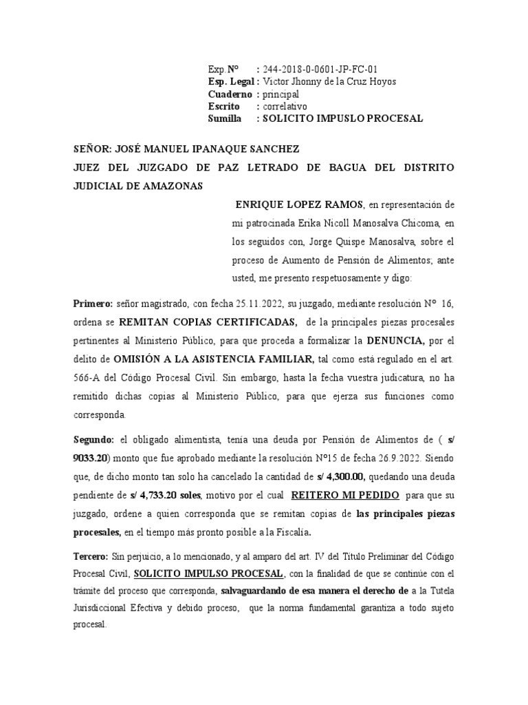 Impulso Procesal y Otros | PDF