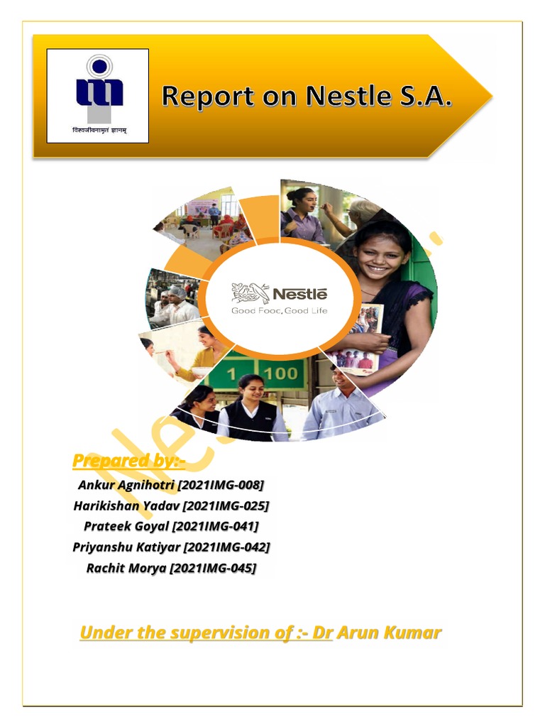 PPM Report | PDF | Nestlé | Brand