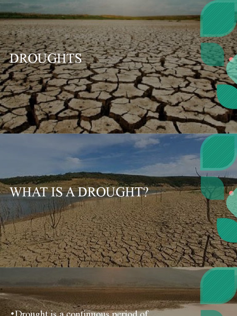 Drought Project | PDF