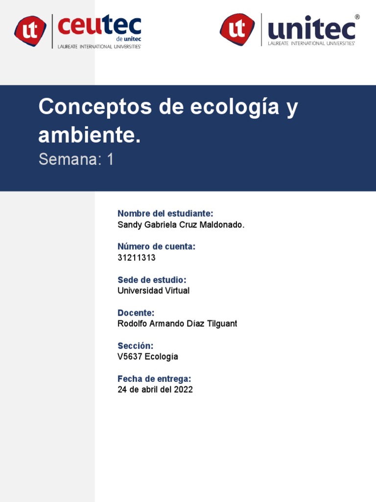 S1 - Tarea 1.1 - Sandy Cruz - 31211313 | PDF