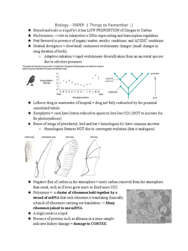 IB HL Biology - To Remember (Paper 1) | PDF | Biology | Dna IB HL Biology - To Remember (Paper 1) | PDF | Biology | Dna