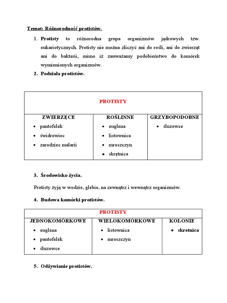 Protisty Kl. 5 | PDF