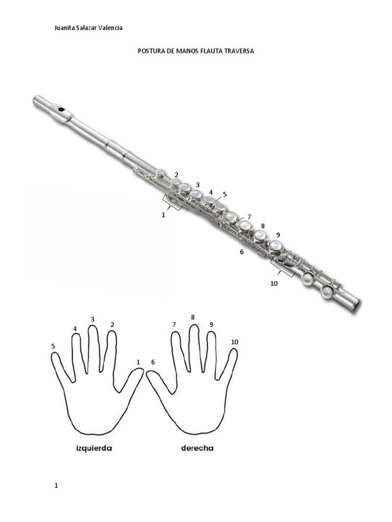 Postura de Manos Flauta Traversa | PDF