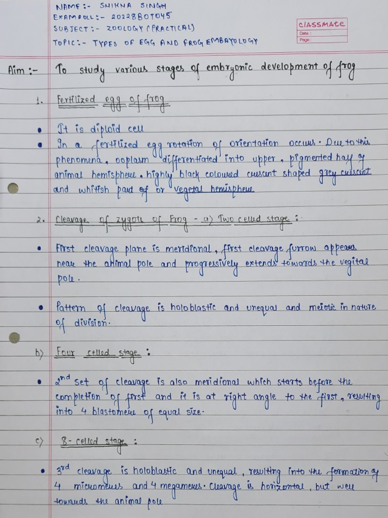 20228BOT045 - Shikha Singh PDF | PDF | Biological Interactions ...