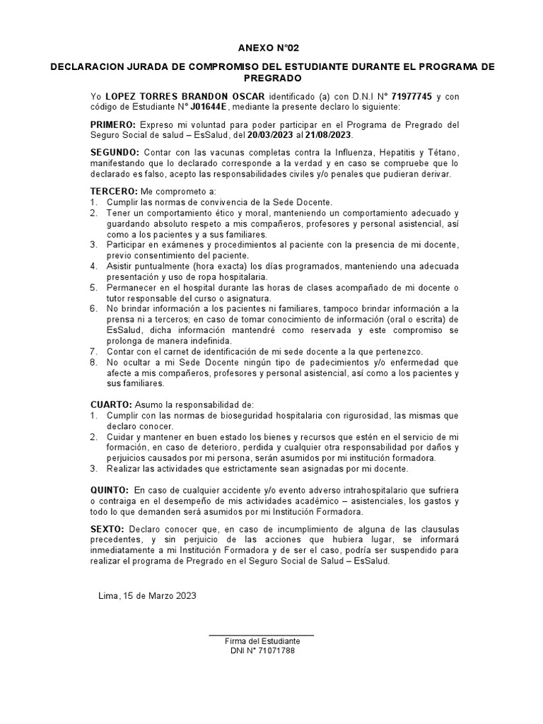 Anexo 02 - Declaracion Jurada | PDF