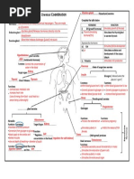 3.1 One Pager The Ear - Memo | PDF | Ear | Hearing