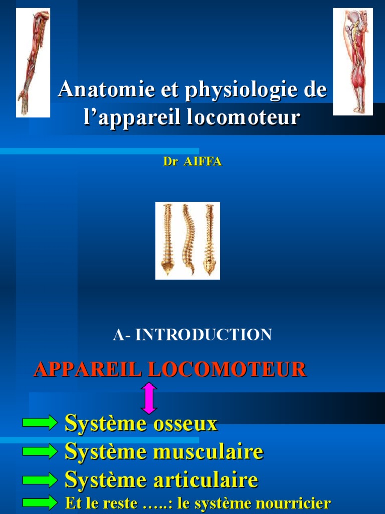 Anatomie Physiologie Appareil Locomoteur | PDF | Vertèbre | Colonne vertébrale